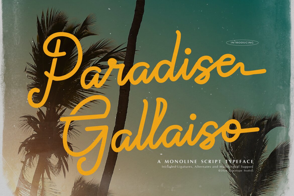Paradise Gallaiso | Monoline Script Typeface | Deeezy