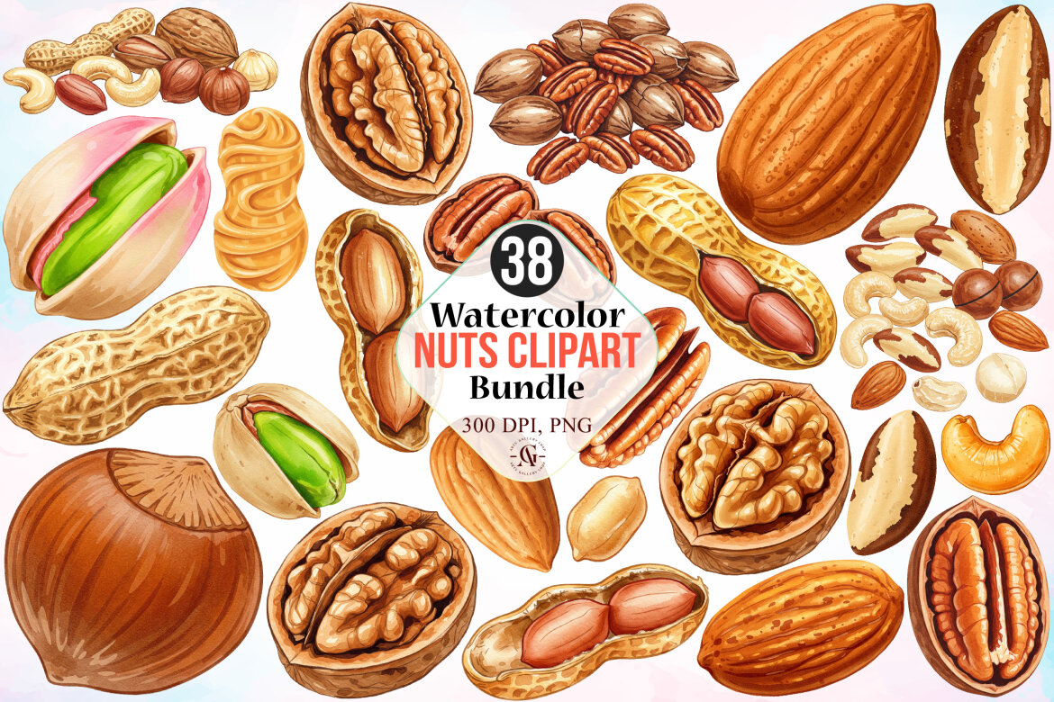 Watercolor Nuts Clipart Bundle | Deeezy
