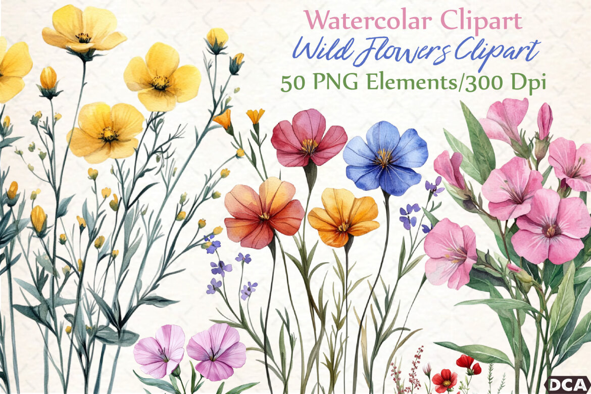 Wild Flowers Watercolor Clipart PNG | Deeezy