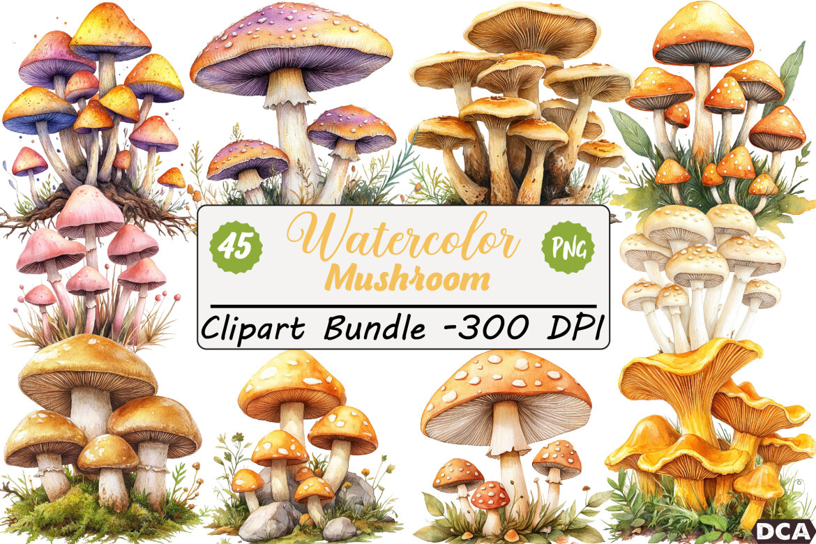 Watercolor Mushroom Clipart bundle | Deeezy