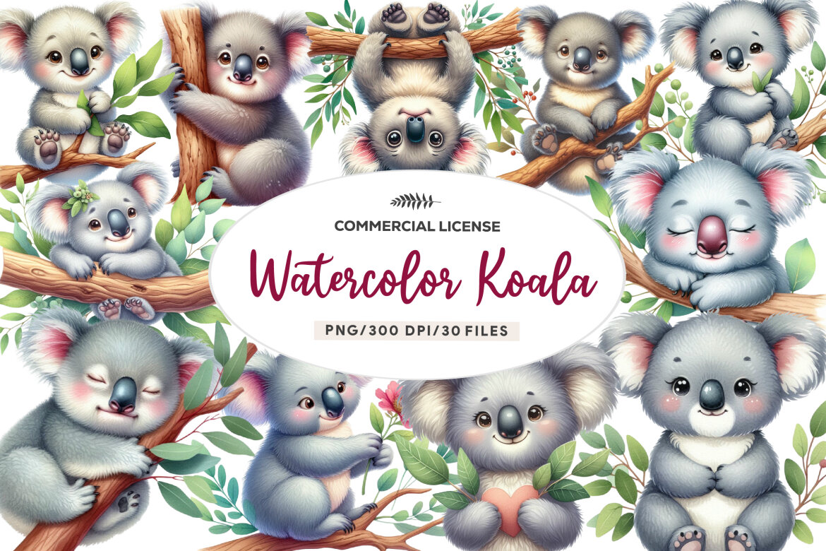 Koala watercolor clipart | Deeezy