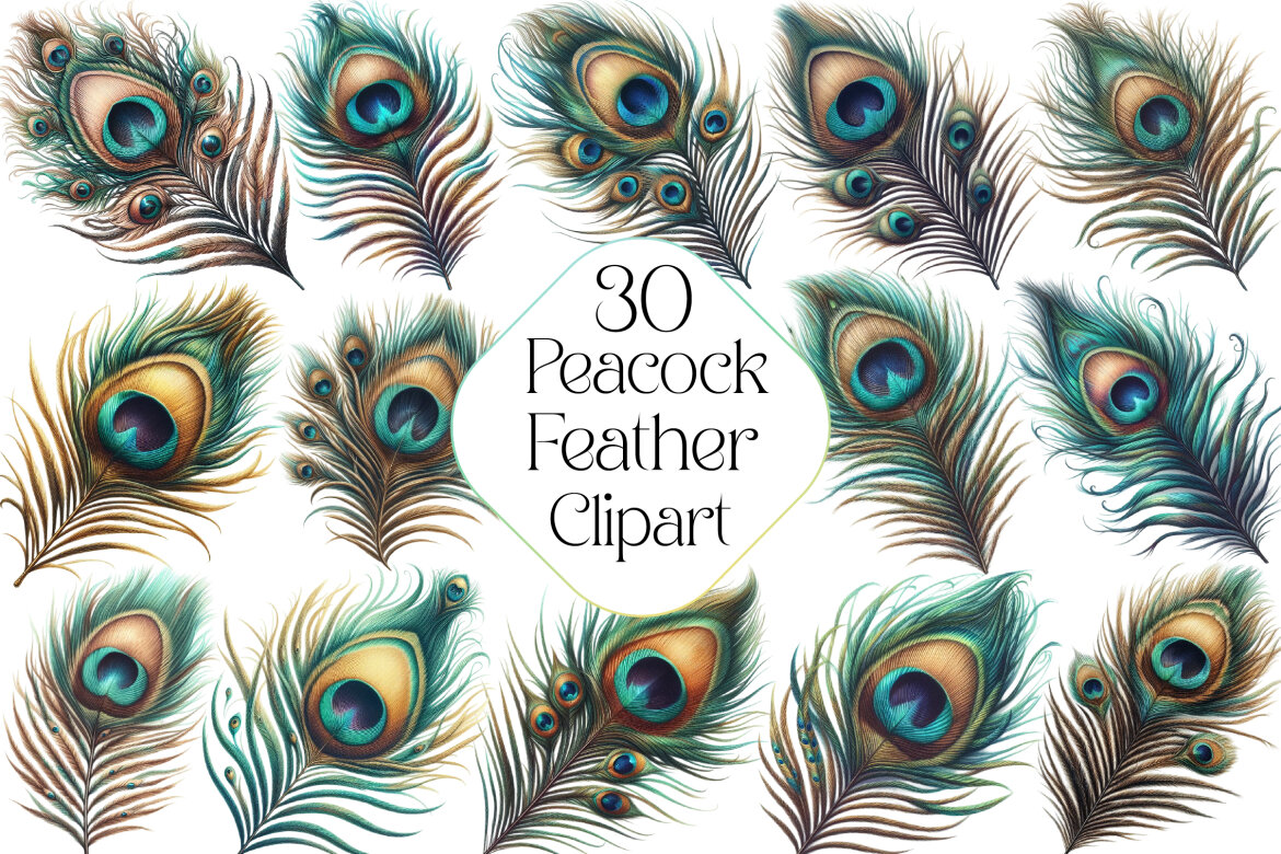 Watercolor Peacock Feather Clipart | Deeezy