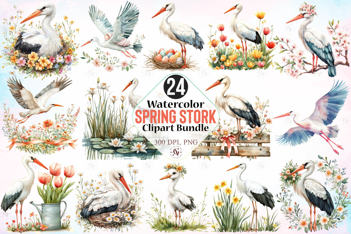 Watercolor Spring Stork Clipart Bundle | Deeezy