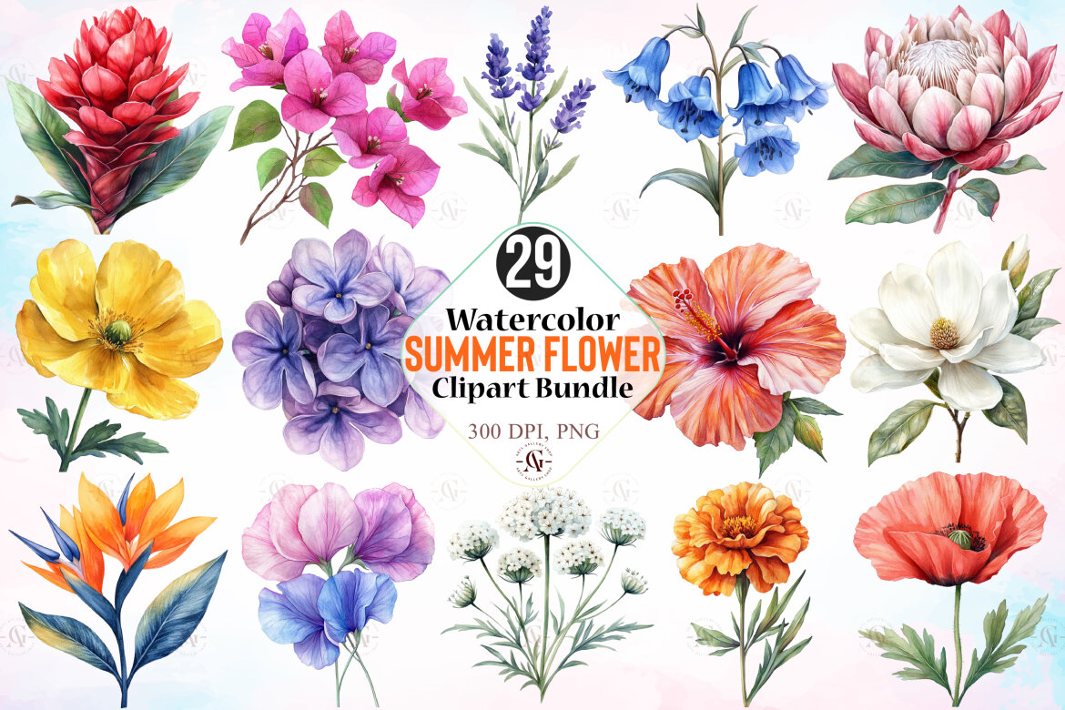 Watercolor Summer Flower Clipart Bundle | Deeezy