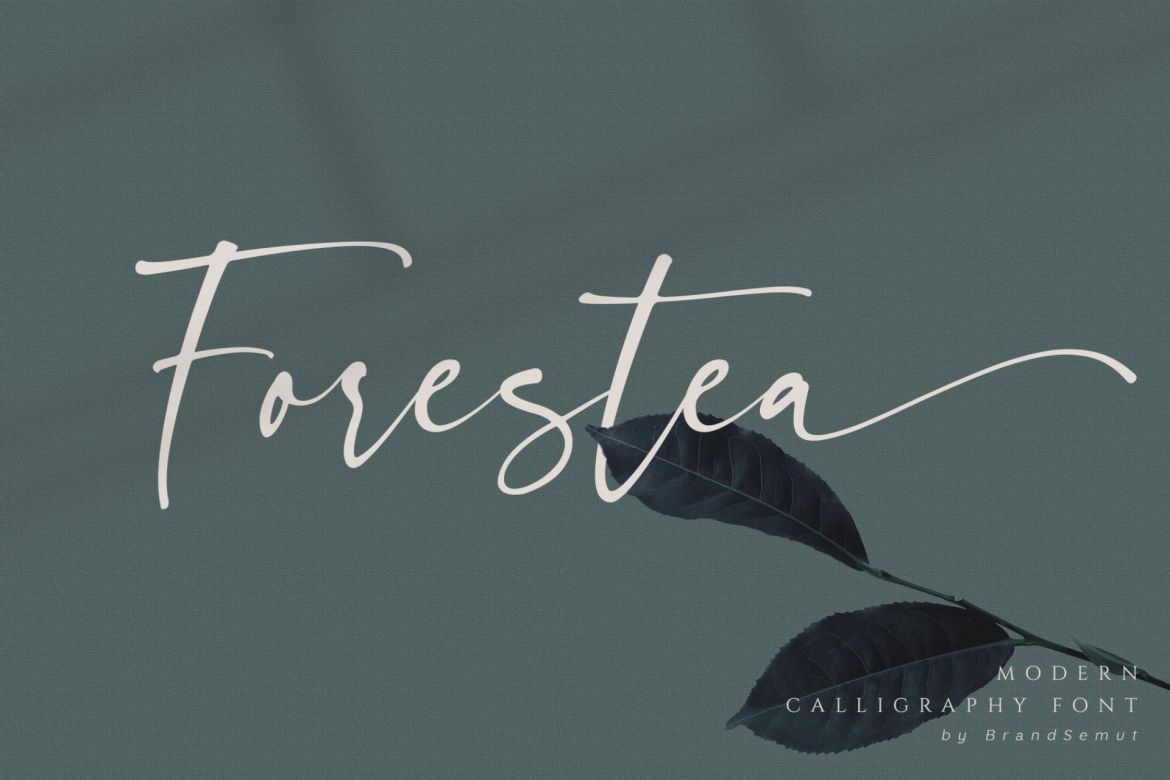 Forestea - Classy Script | Deeezy