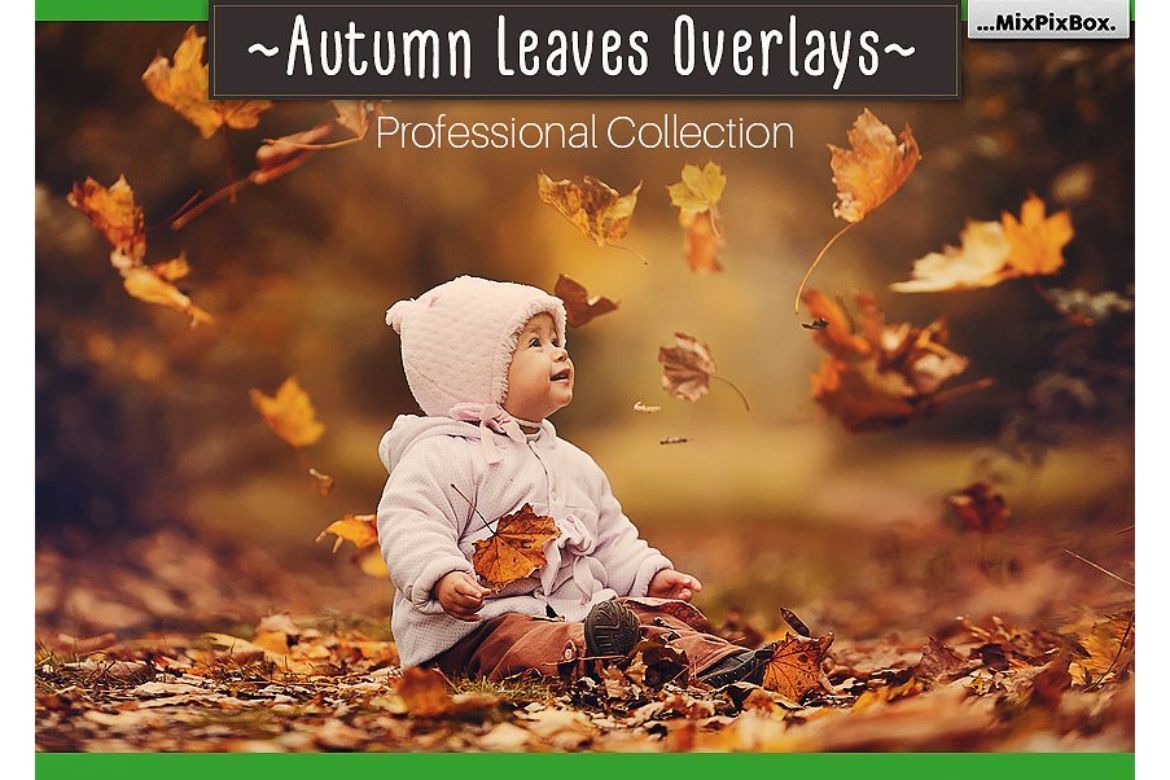 Autumn Leaves Overlays Collection | Deeezy