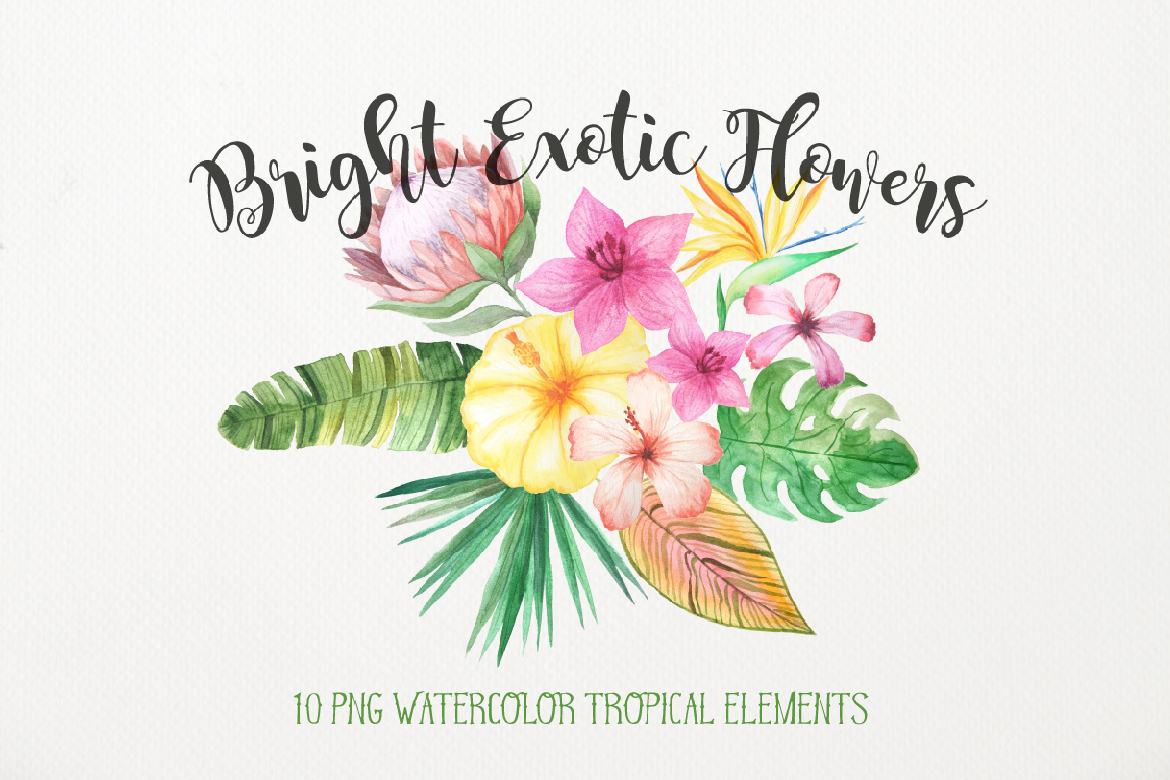 Watercolor Tropical Flowers clipart | Deeezy