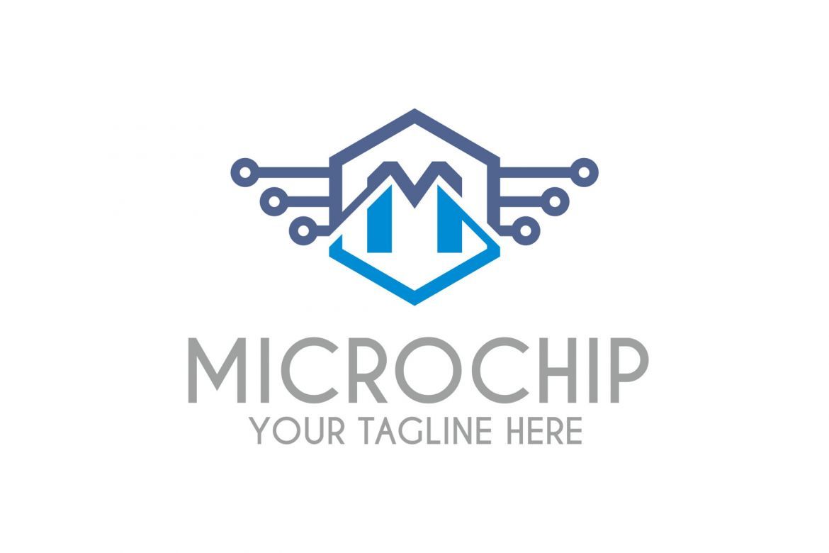 Micro Chip Logo | Deeezy