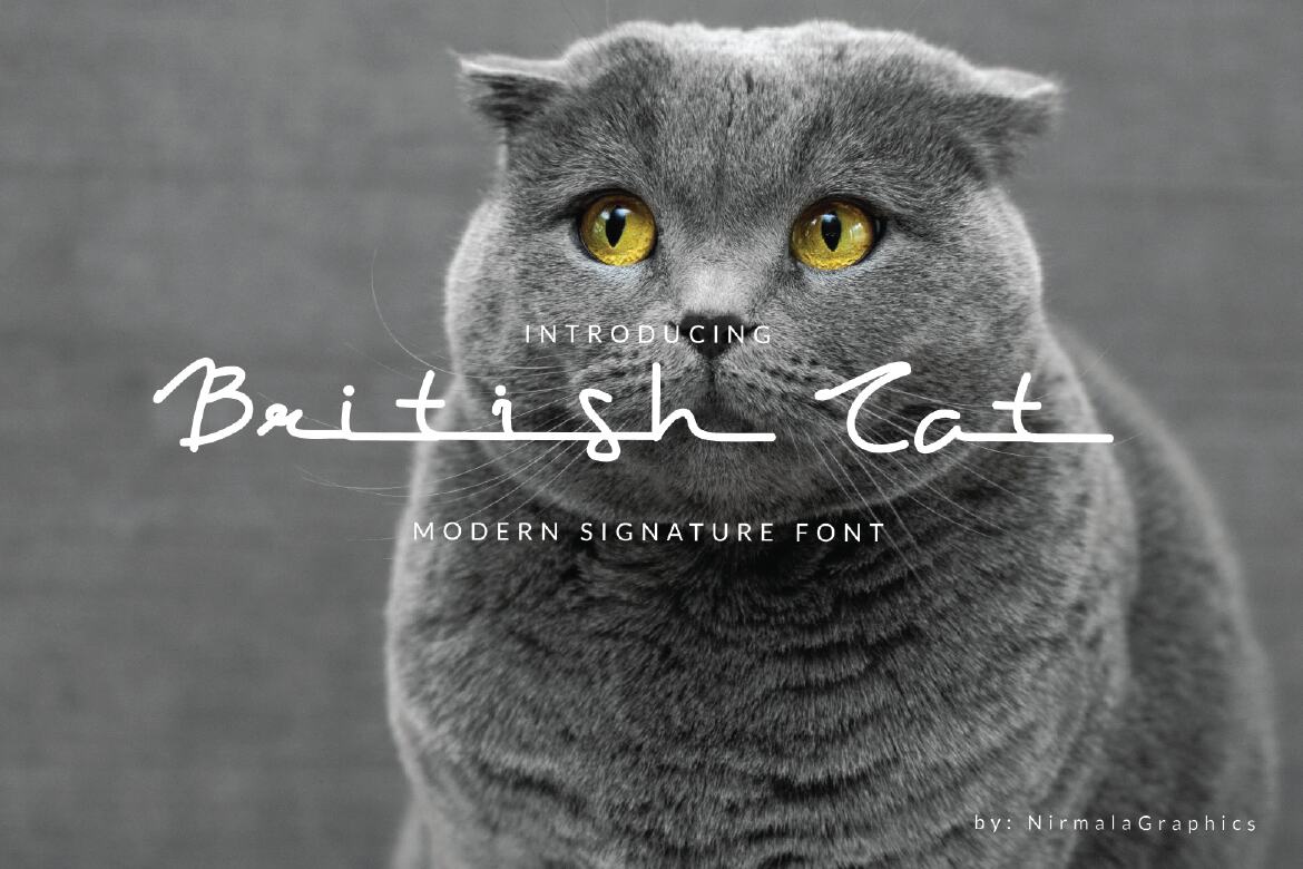 British Cat | Deeezy