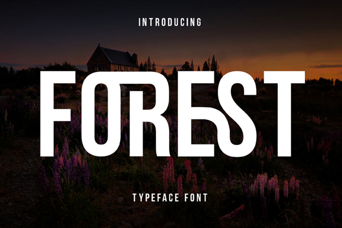 Forest | Deeezy
