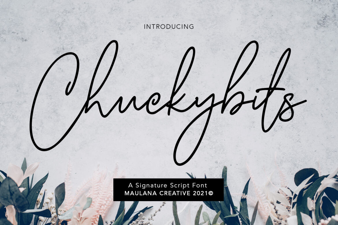 Chuckybits Fancy Signature Script Font | Deeezy
