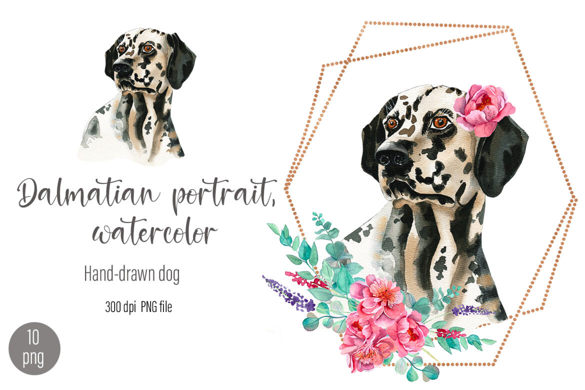 Dalmatian portrait, Watercolor dog and flower clipart | Deeezy