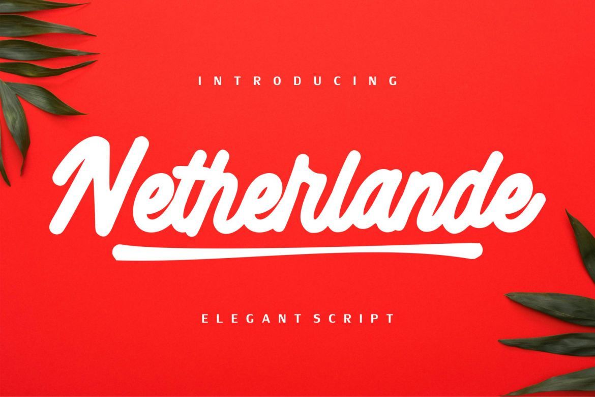 Netherlande - Elegant Script | Deeezy
