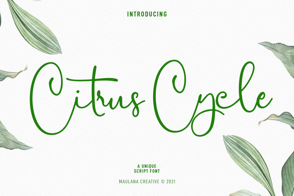 Citrus Cycle Script Font | Deeezy