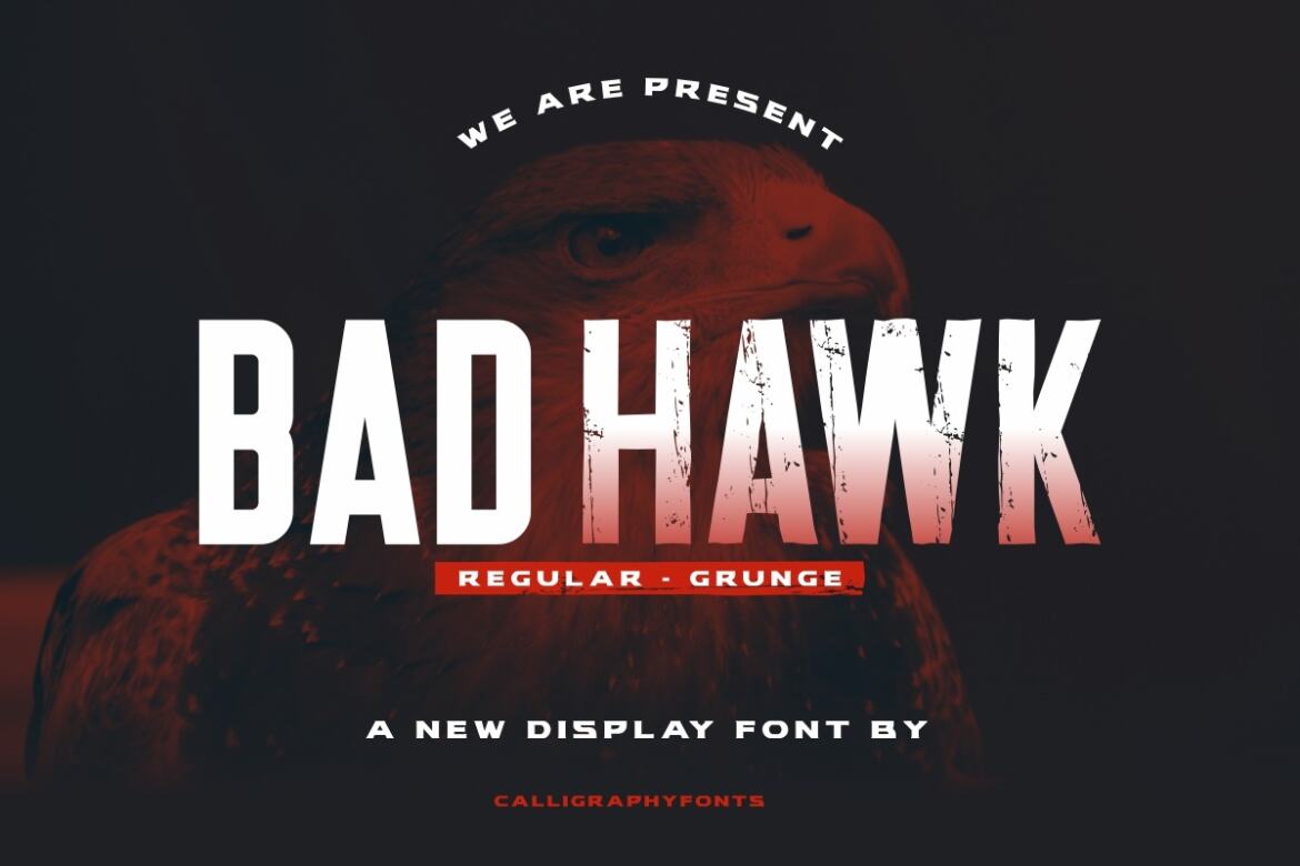 Bad Hawk | Deeezy