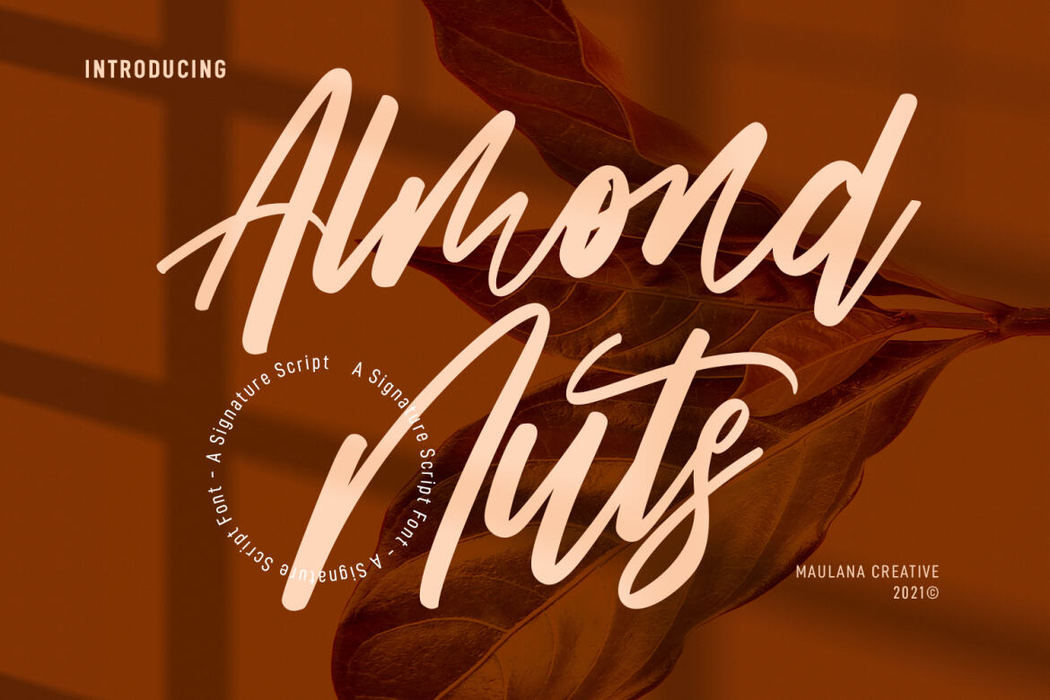 Almond Nuts Signature Script Font | Deeezy