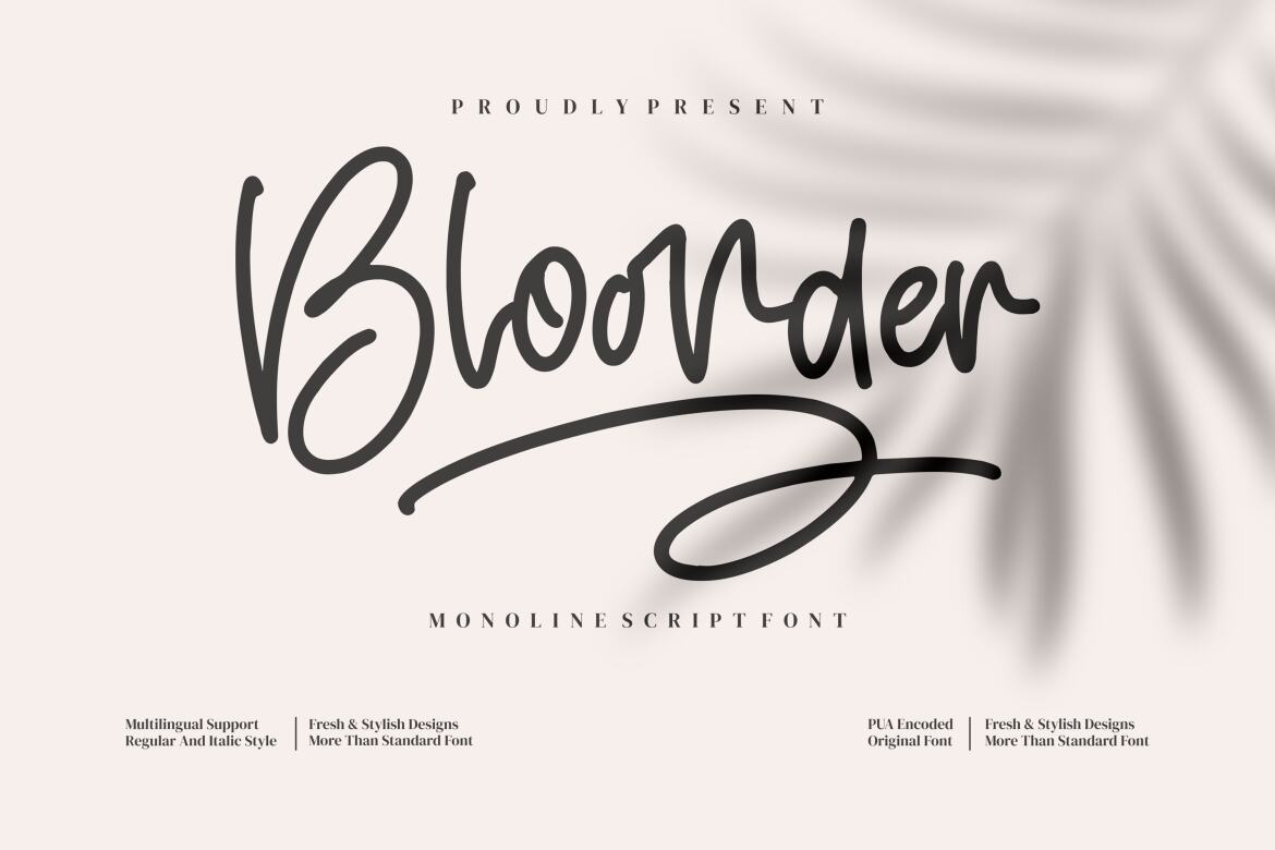 Bloonder- Monoline Script Font | Deeezy