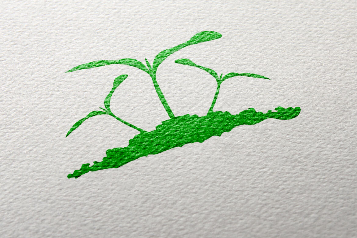 Tree plant logo design vector illustration | Deeezy