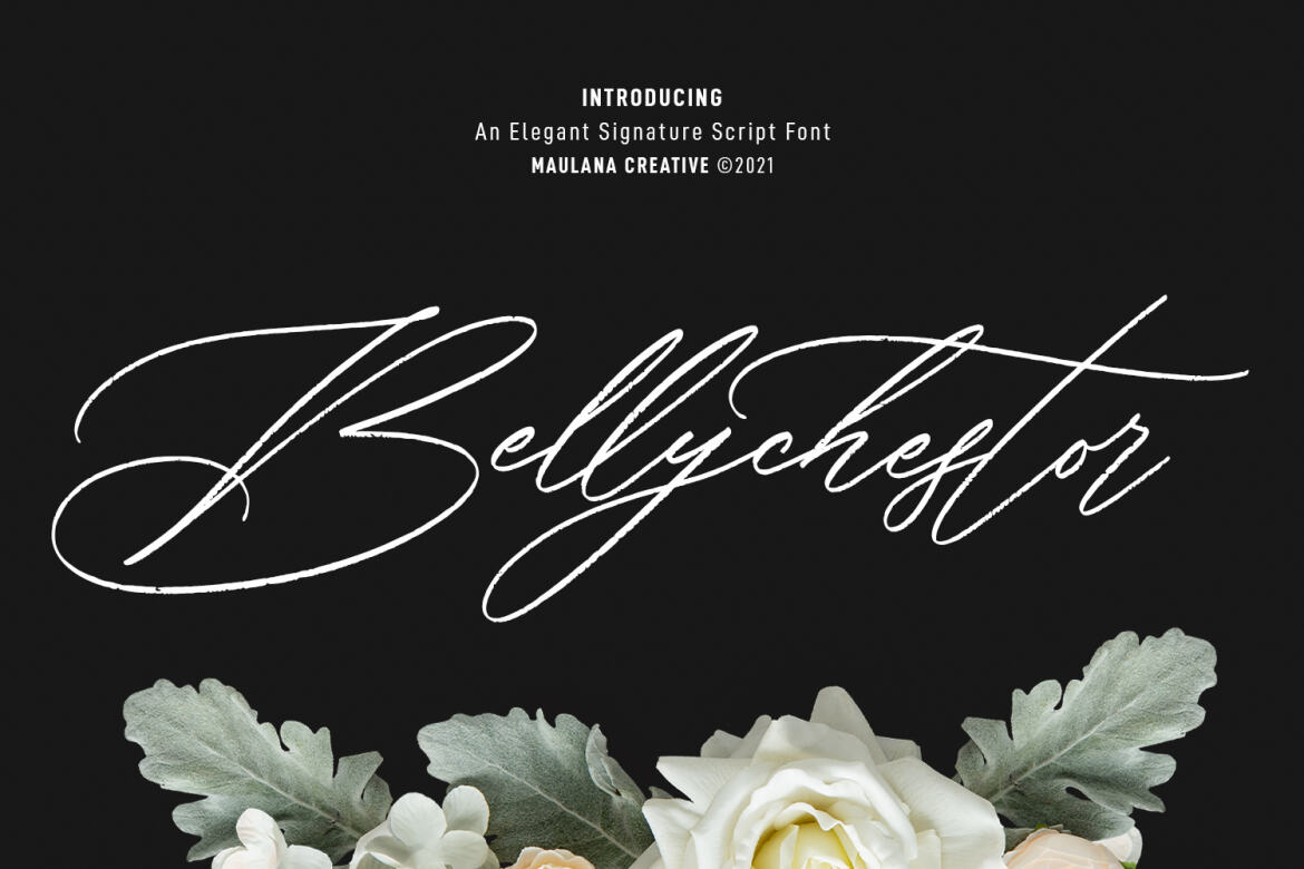 Bellychestor Elegant Signature Script Font | Deeezy