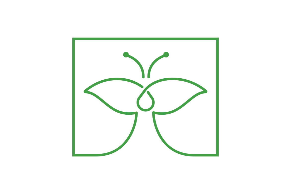 Butterfly Outline Icon Logo Template Vector Illustration And