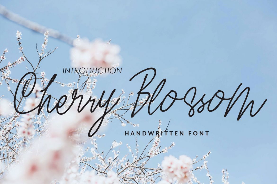 Cherry Blossom Signature | Deeezy
