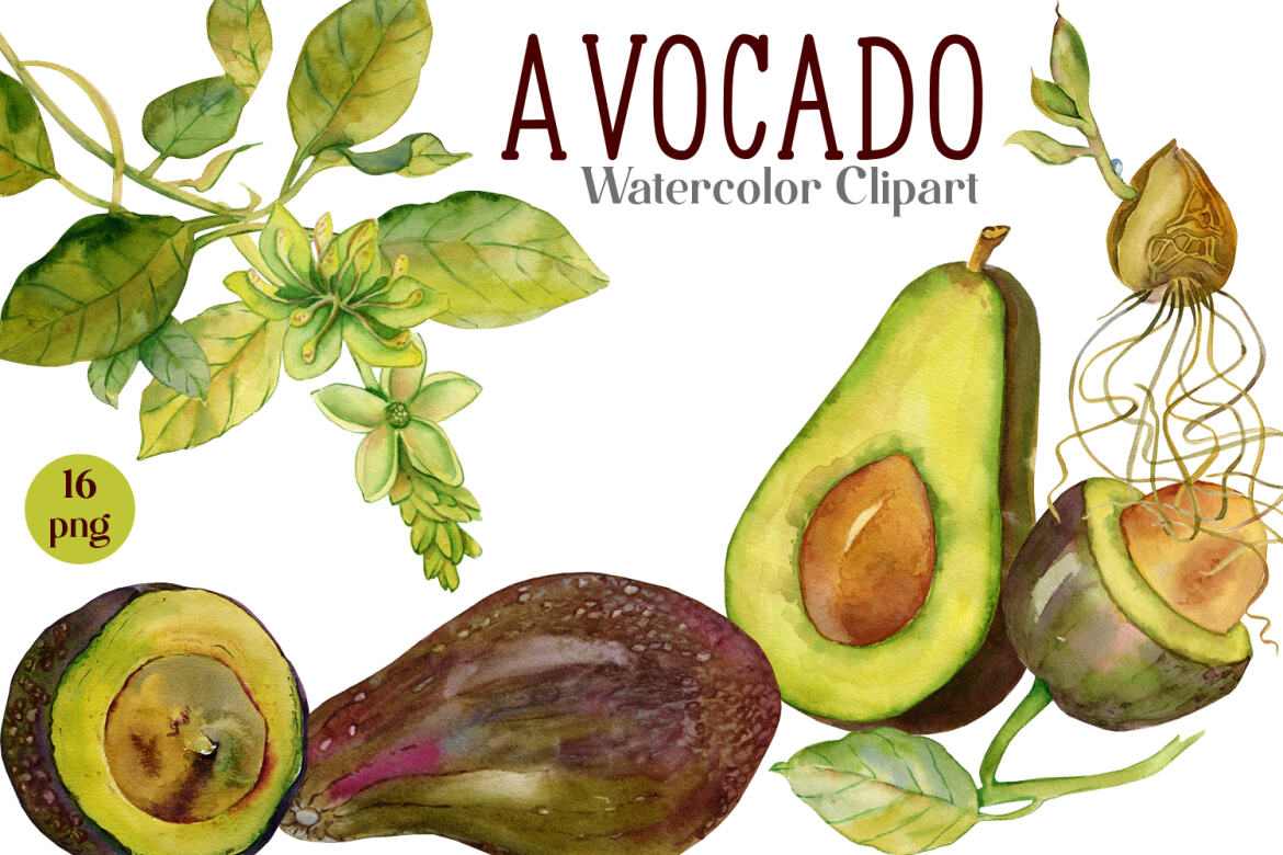 Avocado clipart. Watercolor tropical fruits | Deeezy