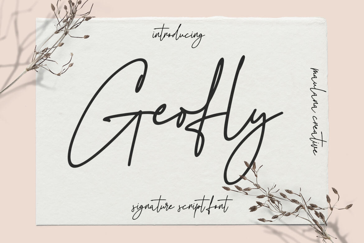Geofly Signature Script Font | Deeezy