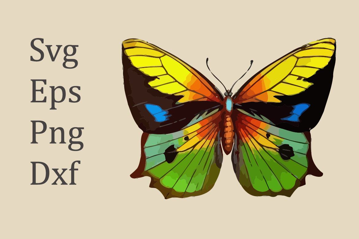 butterfly outline | Deeezy