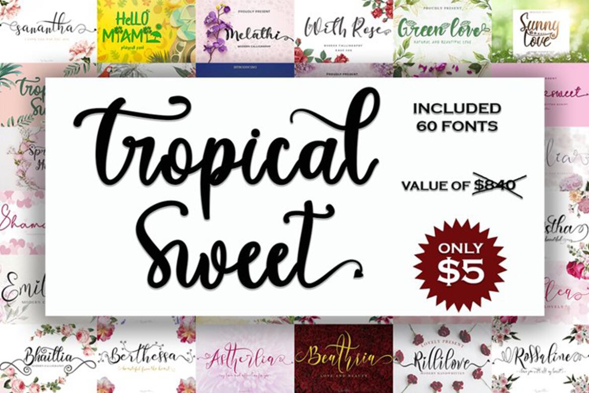 Tropical Sweet Font Bundle - 60 Fonts | Deeezy