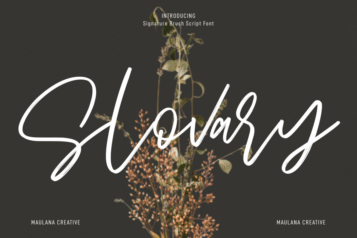 Slovary Script Font | Deeezy