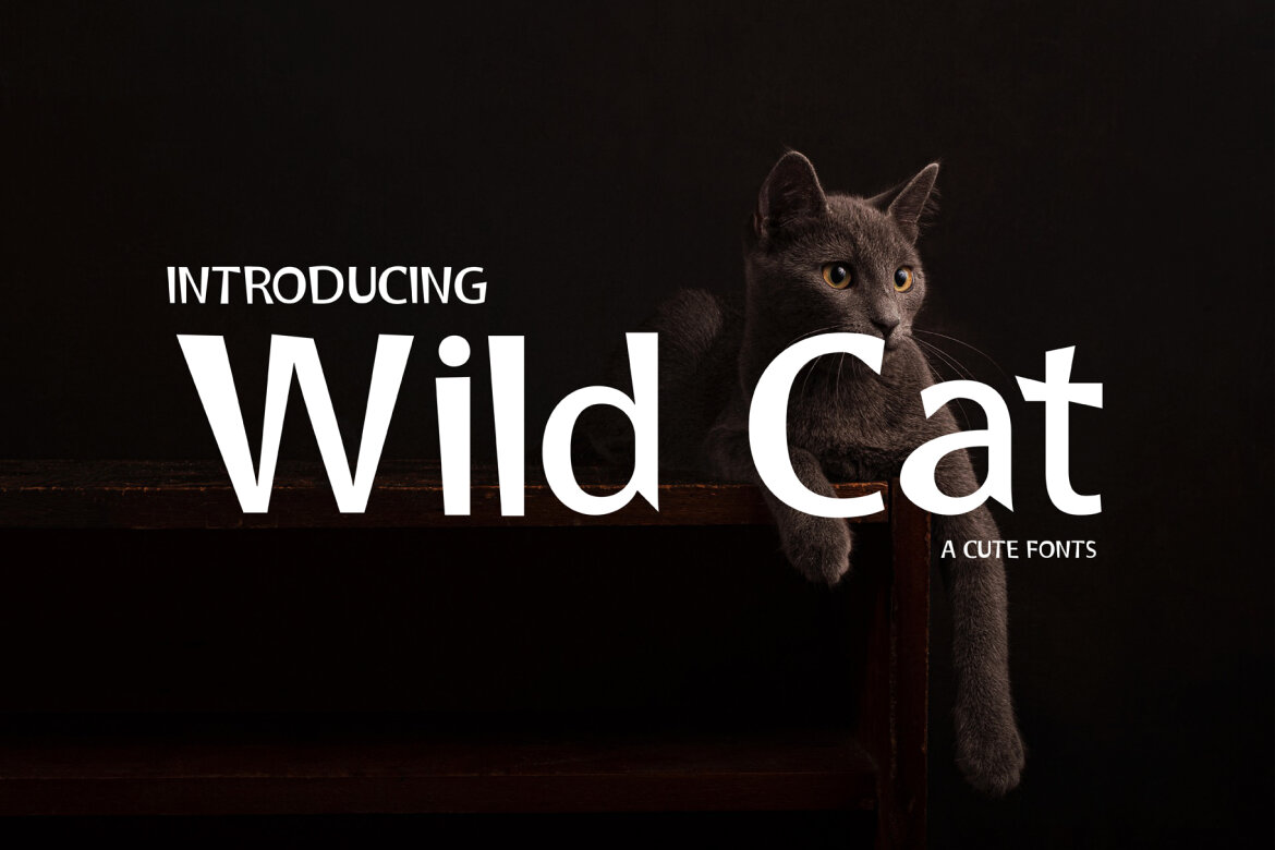 Wild Cat | Deeezy