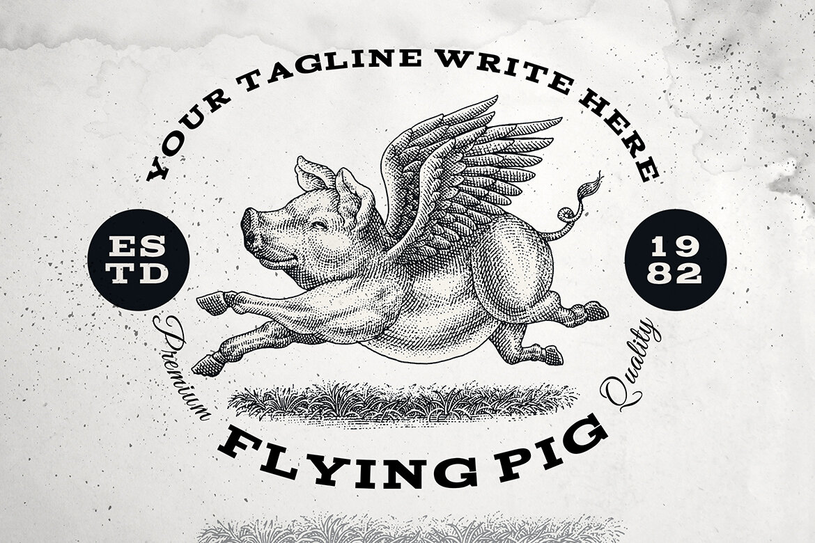 Flying Pig Illustration | Deeezy