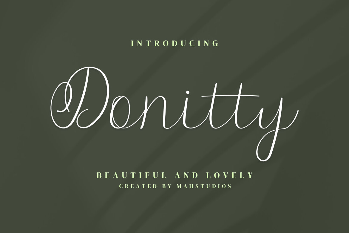Donitty Script Fonts | Deeezy