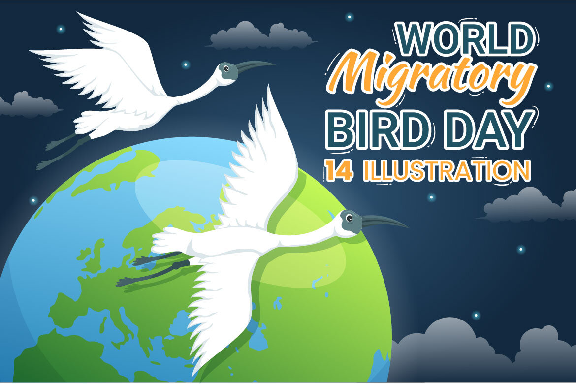 14 World Migratory Bird Day Illustration | Deeezy