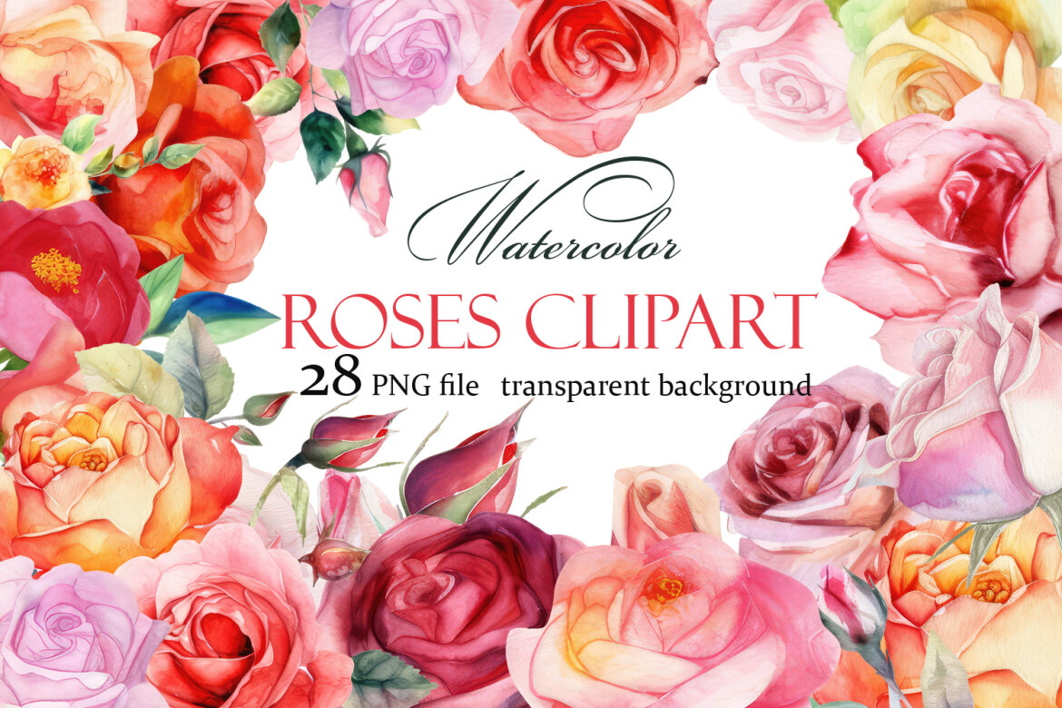 Roses clipart, Watercolor floral clipart | Deeezy