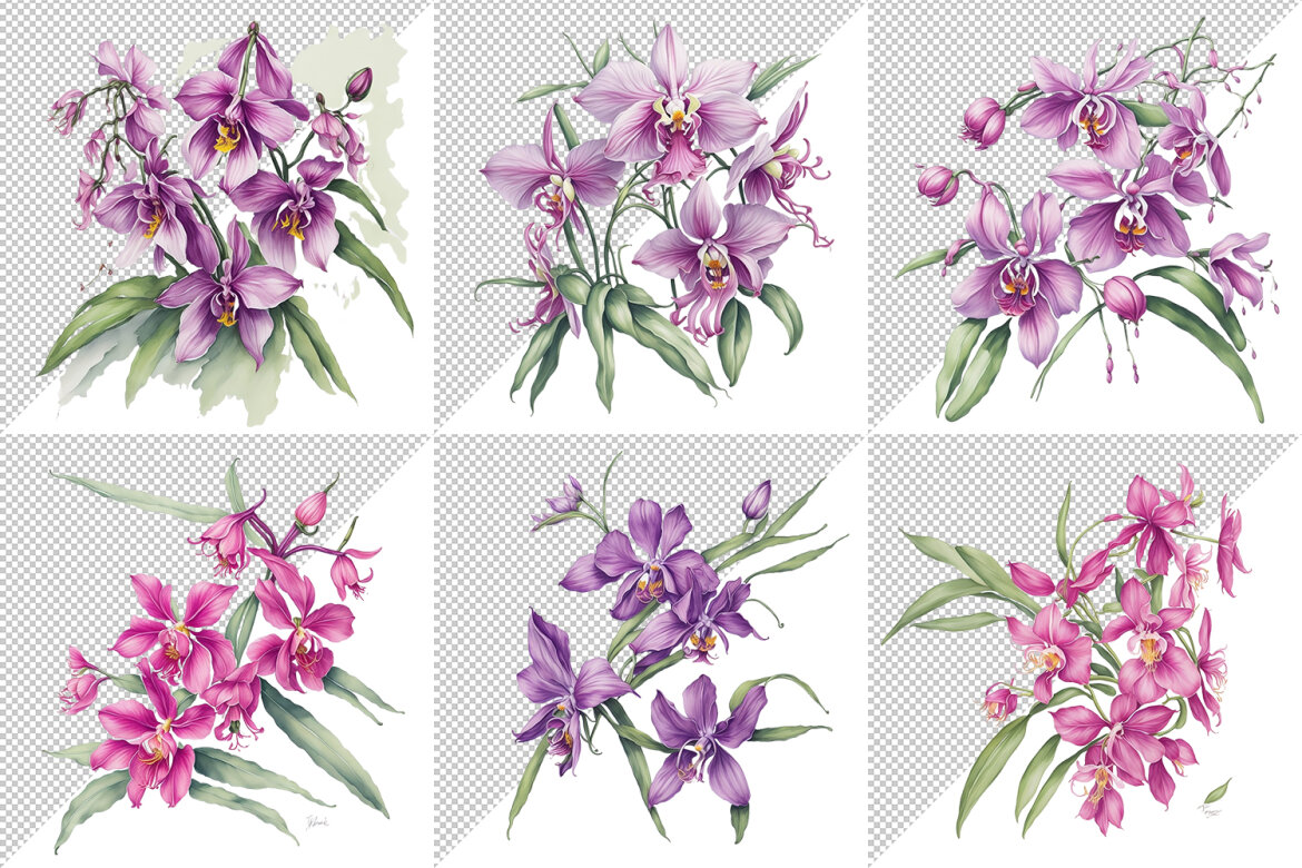 Watercolor Flower | Deeezy