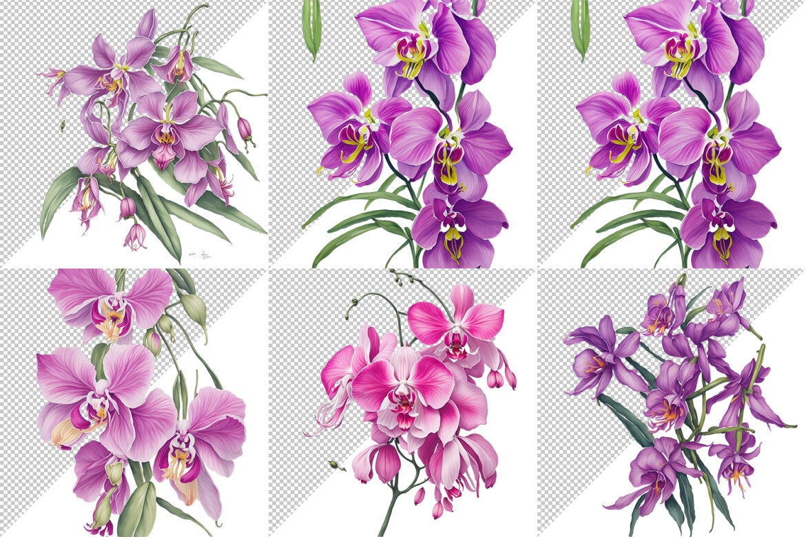 Watercolor Flower | Deeezy