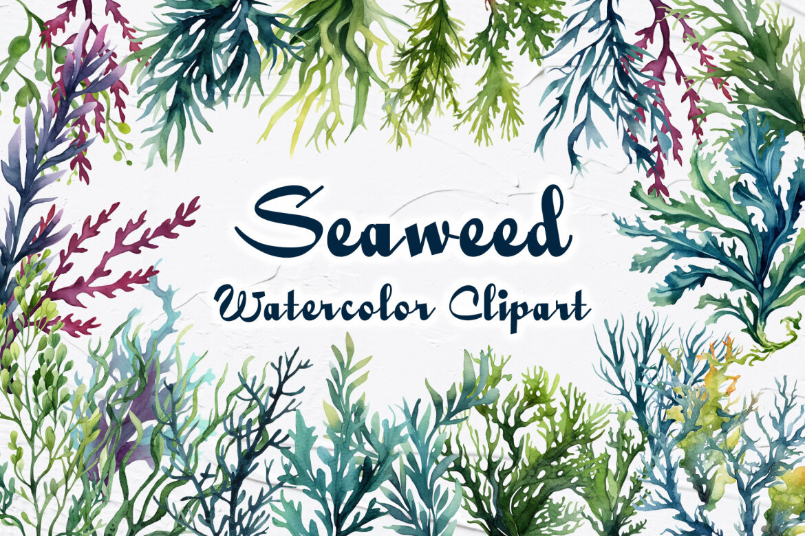 Seaweed Watercolor clipart. Coral Reef Clipart. | Deeezy