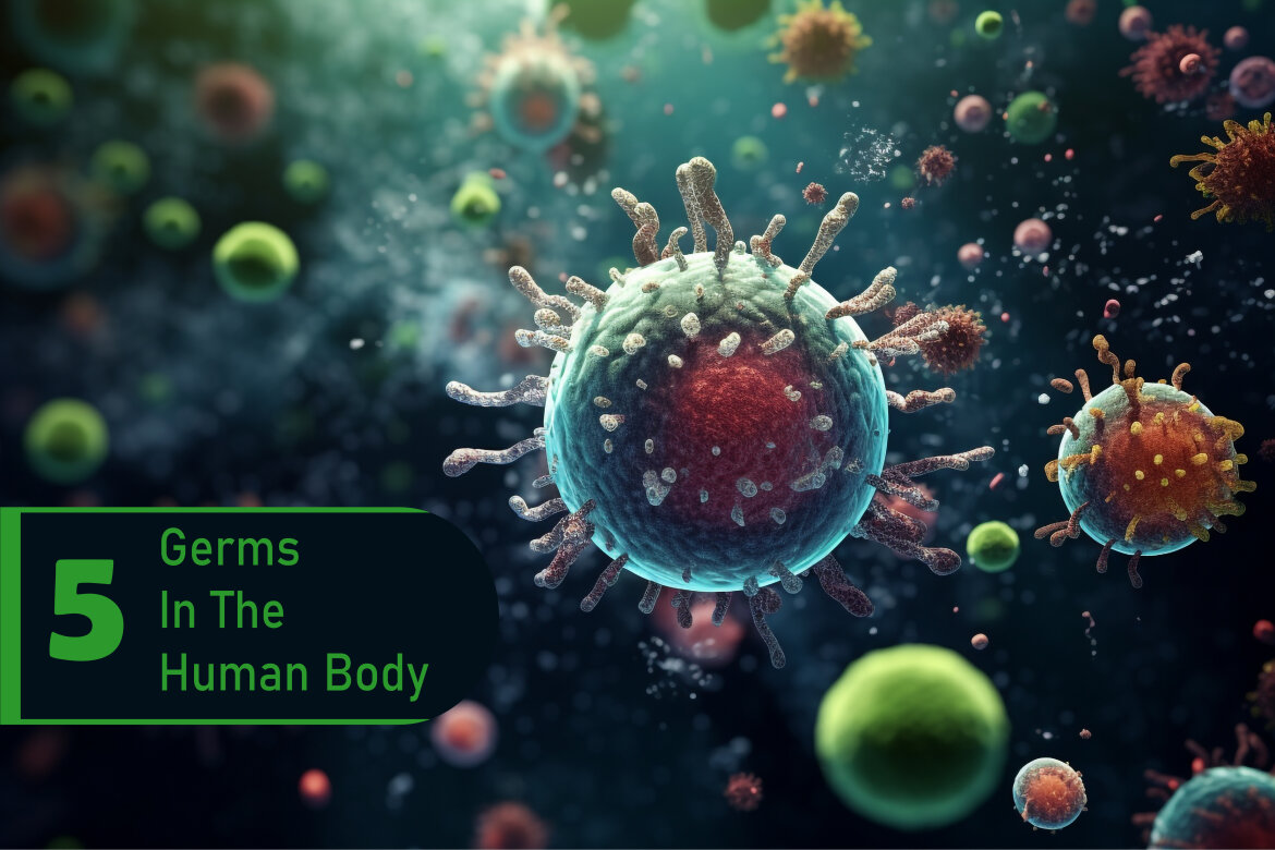 germs in the human body | Deeezy
