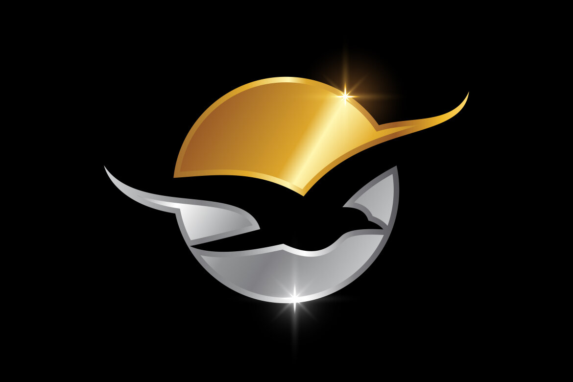 Flying bird | Deeezy