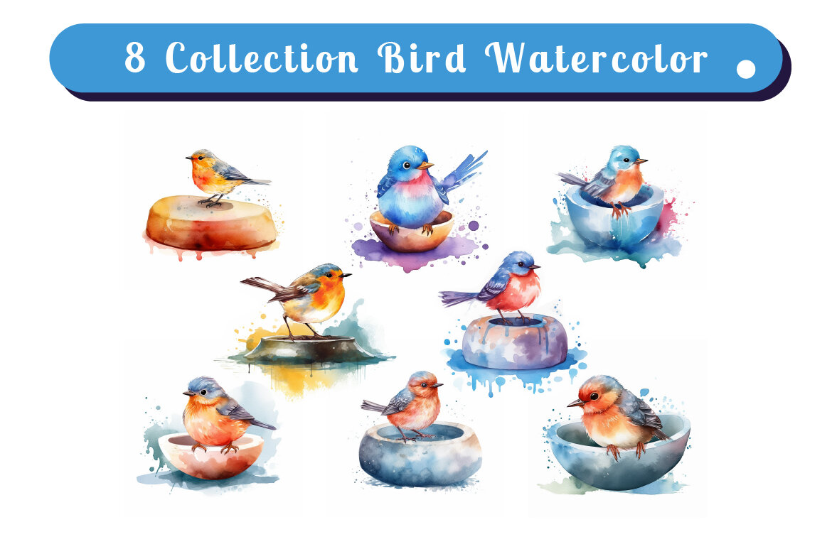 watercolor cute bird collection vol. 3 | Deeezy