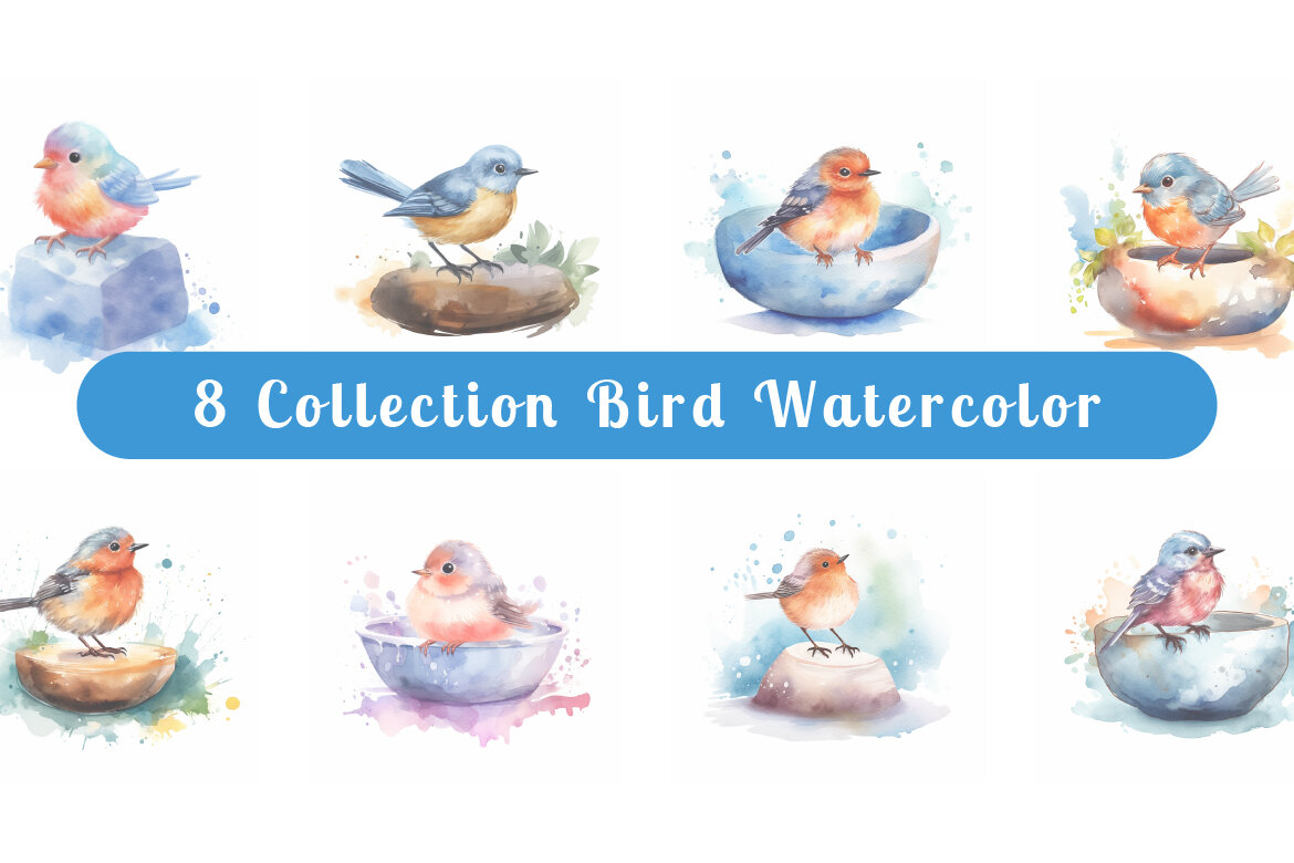 watercolor cute bird collection vol. 5 | Deeezy