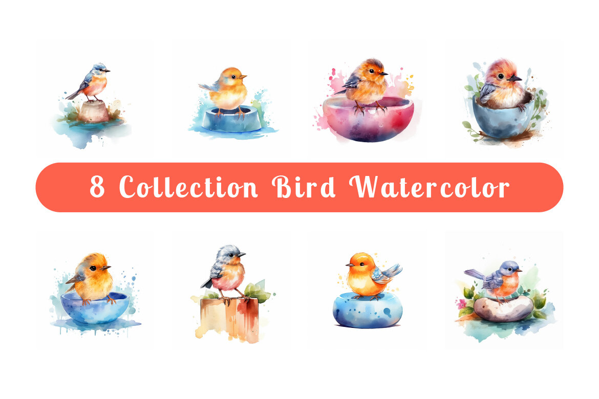 watercolor cute bird collection vol. 7 | Deeezy