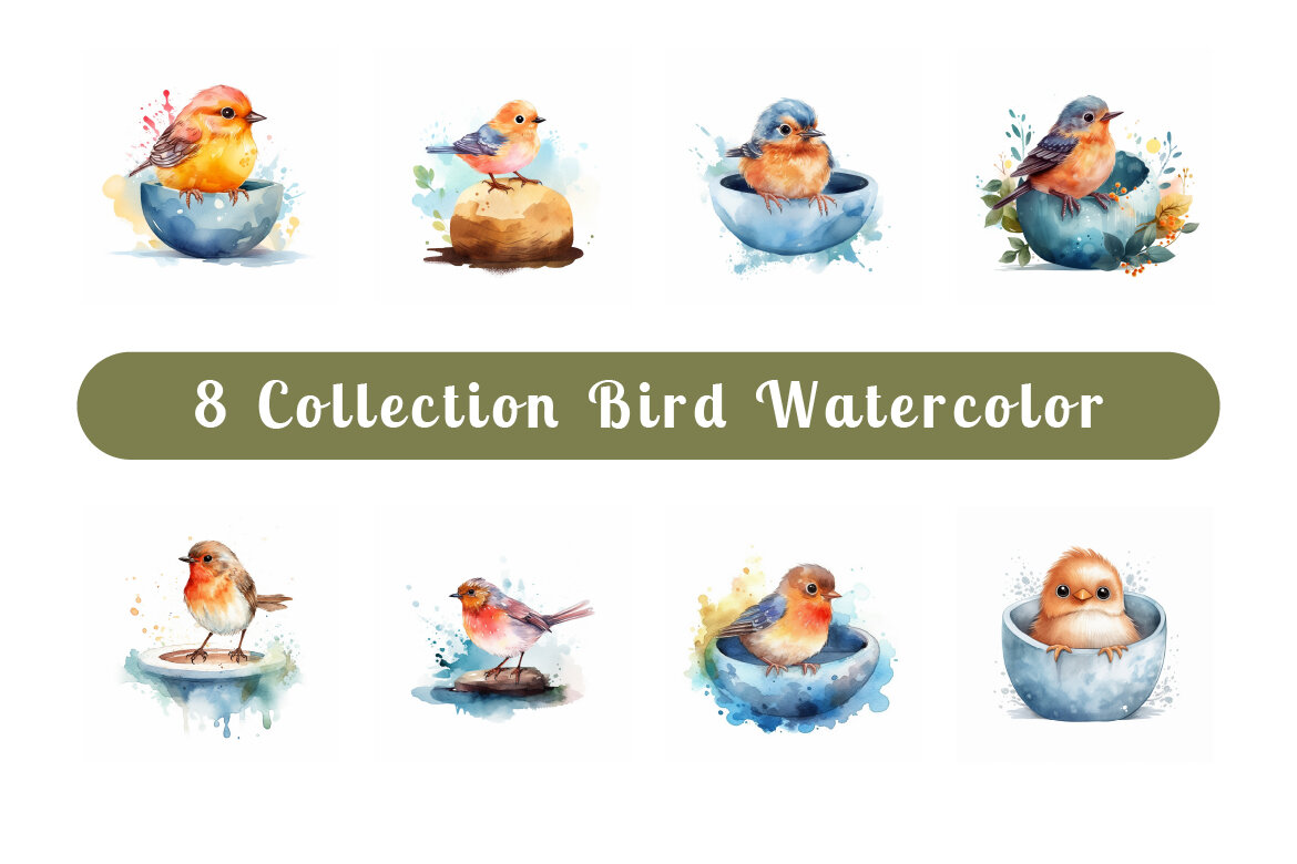 watercolor cute bird collection vol. 12 | Deeezy