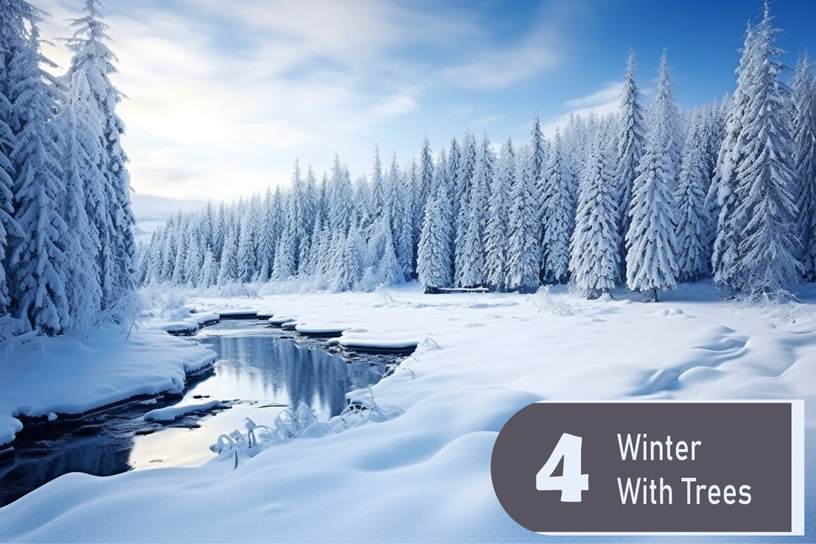 trees in Winter | Deeezy