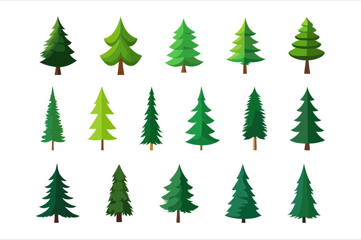 Pine Tree Illustration | Deeezy