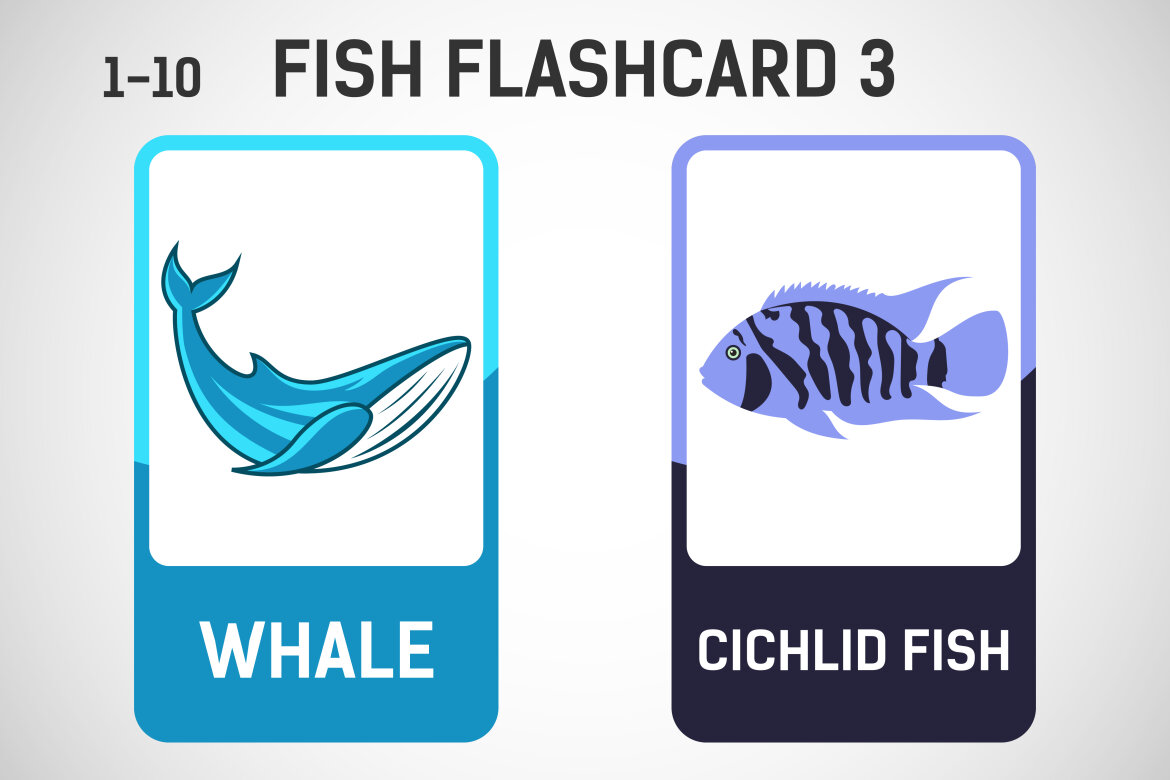Fish flashcards for kids | Deeezy