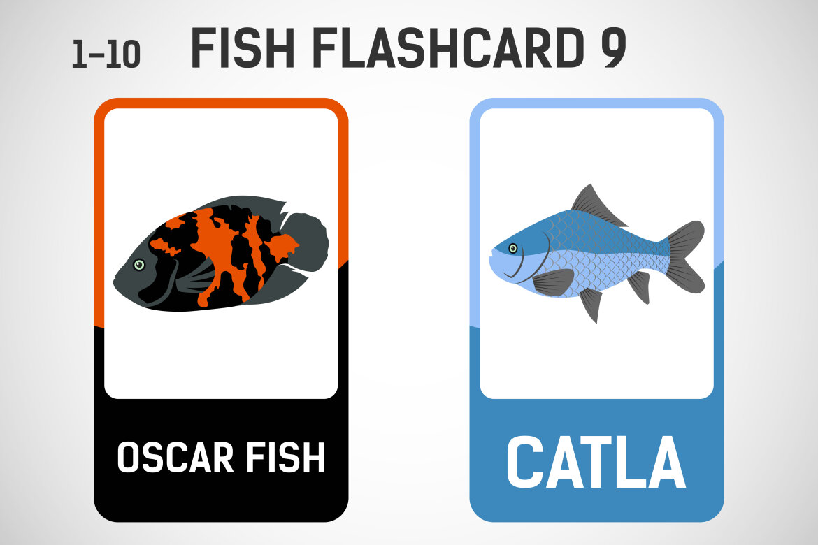 Fish flashcards for kids | Deeezy