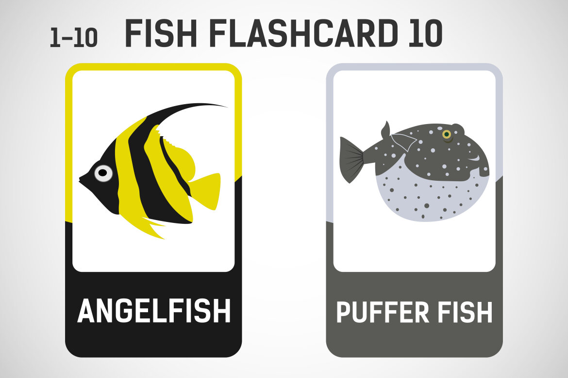 Fish flashcards for kids | Deeezy