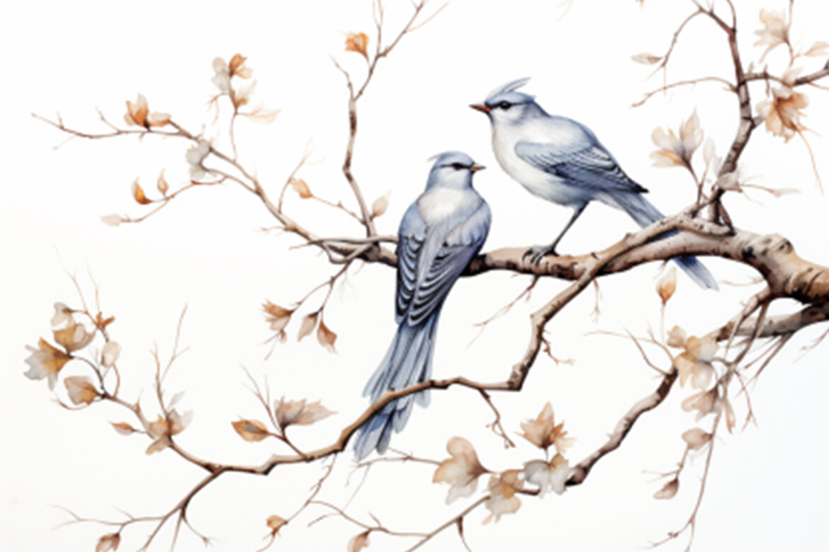 watercolor winter bird | Deeezy